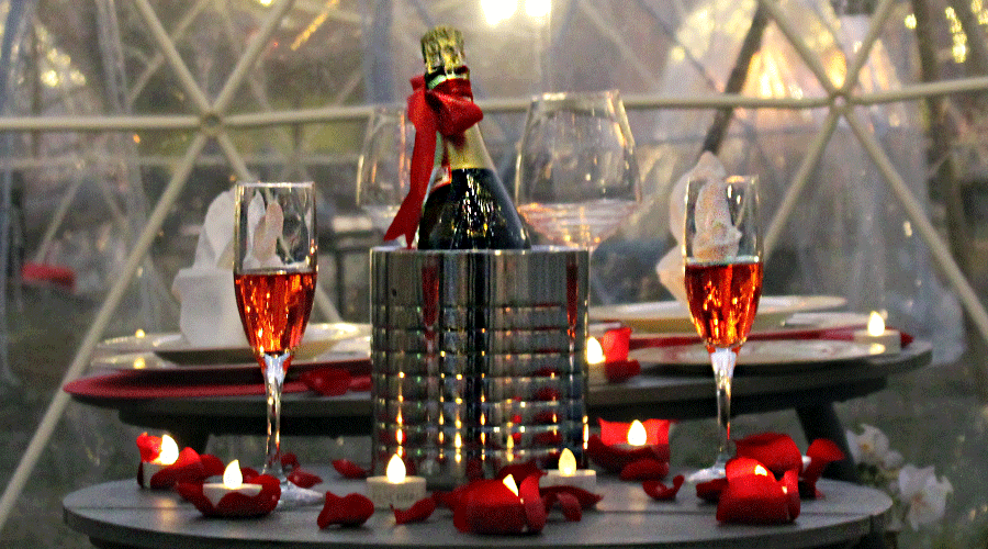 Safir Fintas Kuwait | Safir Hotels & Resorts